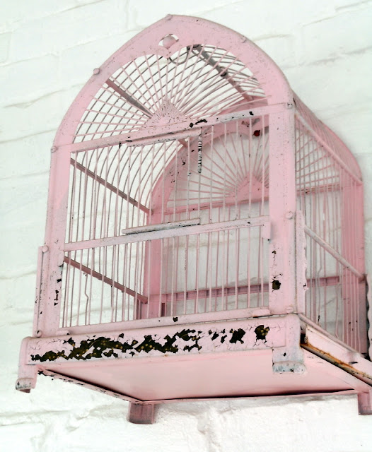 My Old Historic House: BIRDCAGES - Flights of Fancy