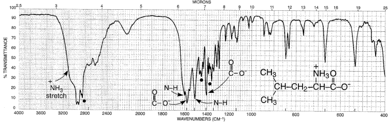 Chemistry: IR of amino acids