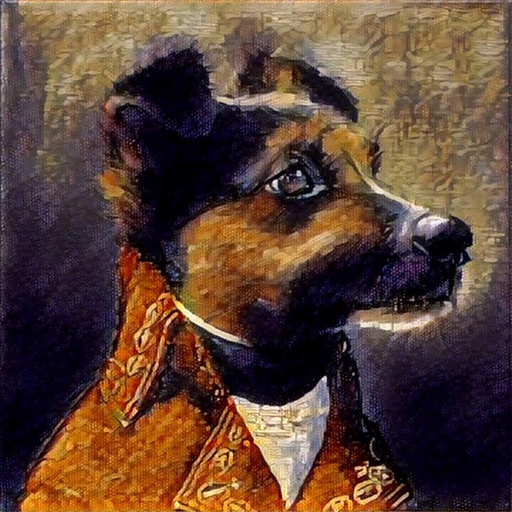 Terrierman's Daily Dose