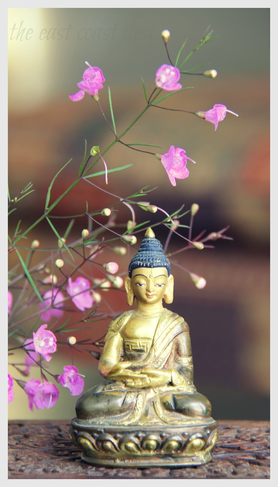 the east coast desi: Buddha Love Continues