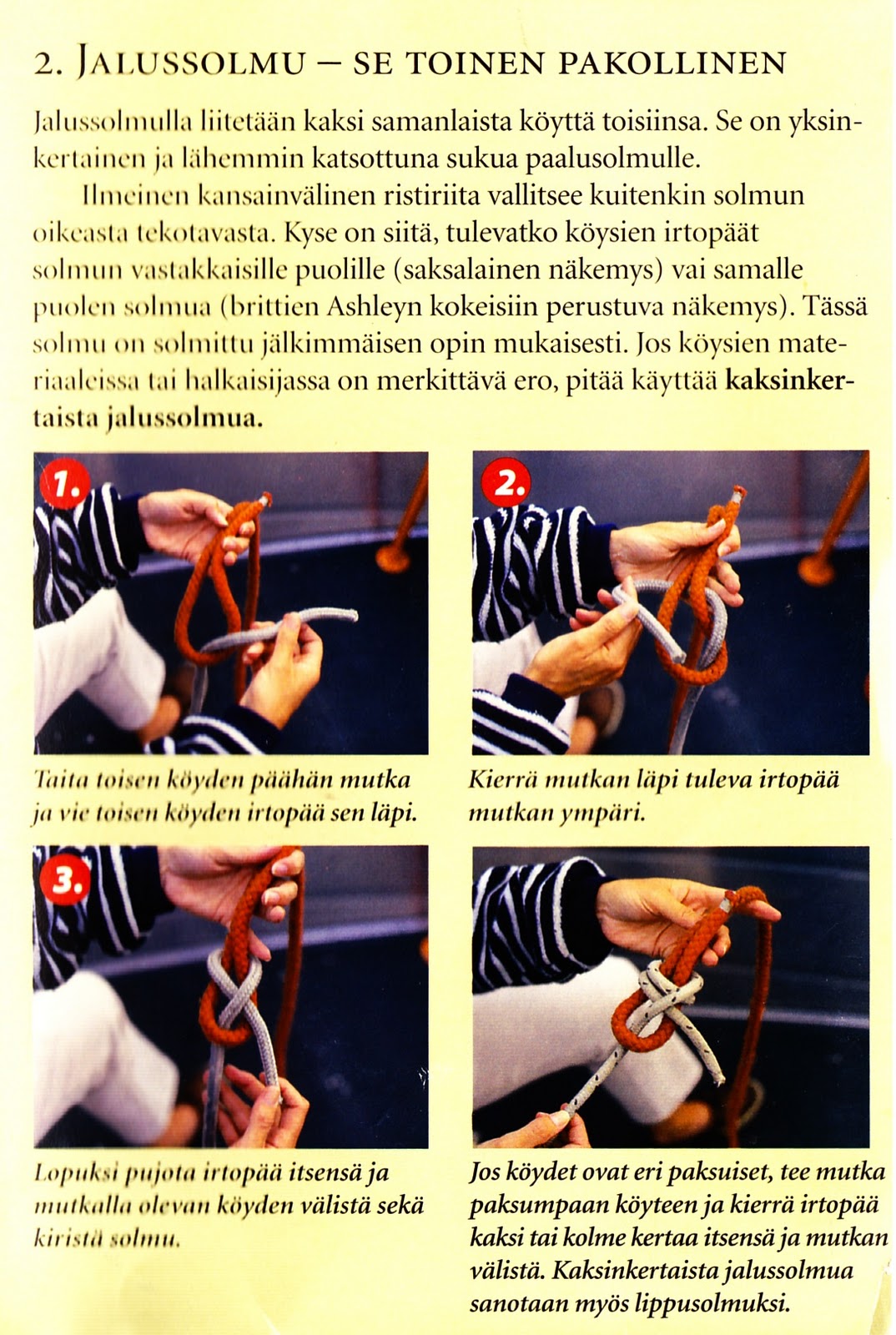 Skiglari: Perussolmut