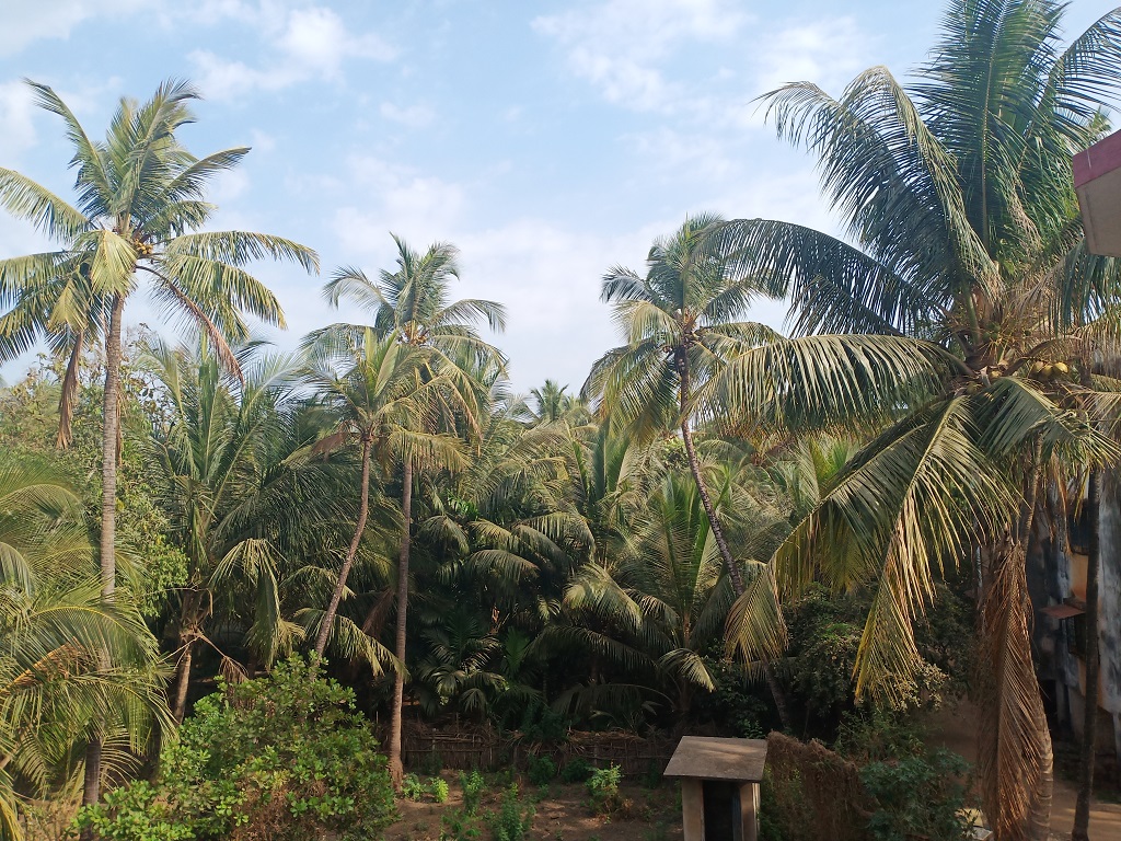 Lesser Explored, More Beautiful: Malvan-Tarkarli