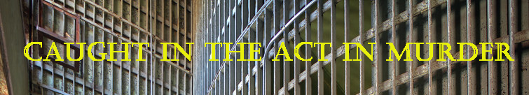 In flagrante delicto Meaning, Caught in the Act ~ How to Style