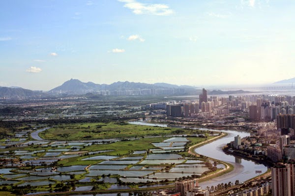 One Day in Shenzhen: Meridian View Centre (Diwang Building)