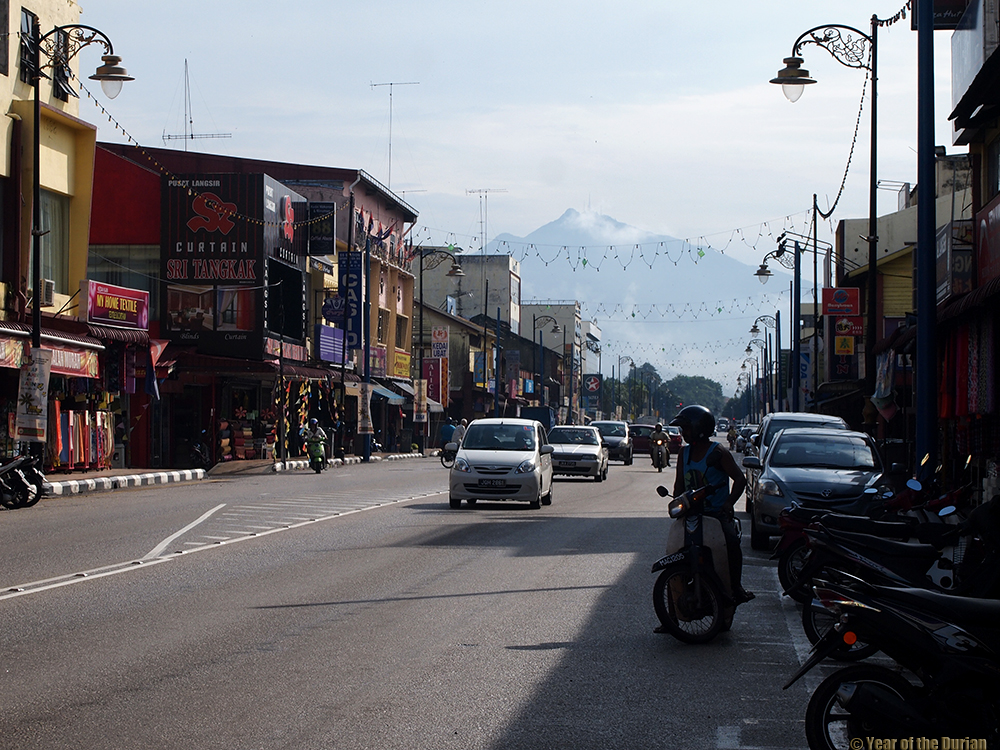 Durian Day Trip In Tangkak | Johor, Malaysia
