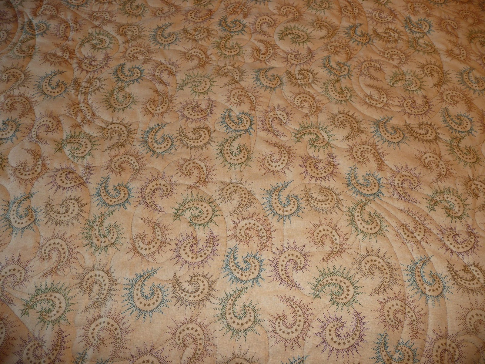 Acorn Ridge Quilting: Lisa's Paisley Quilt