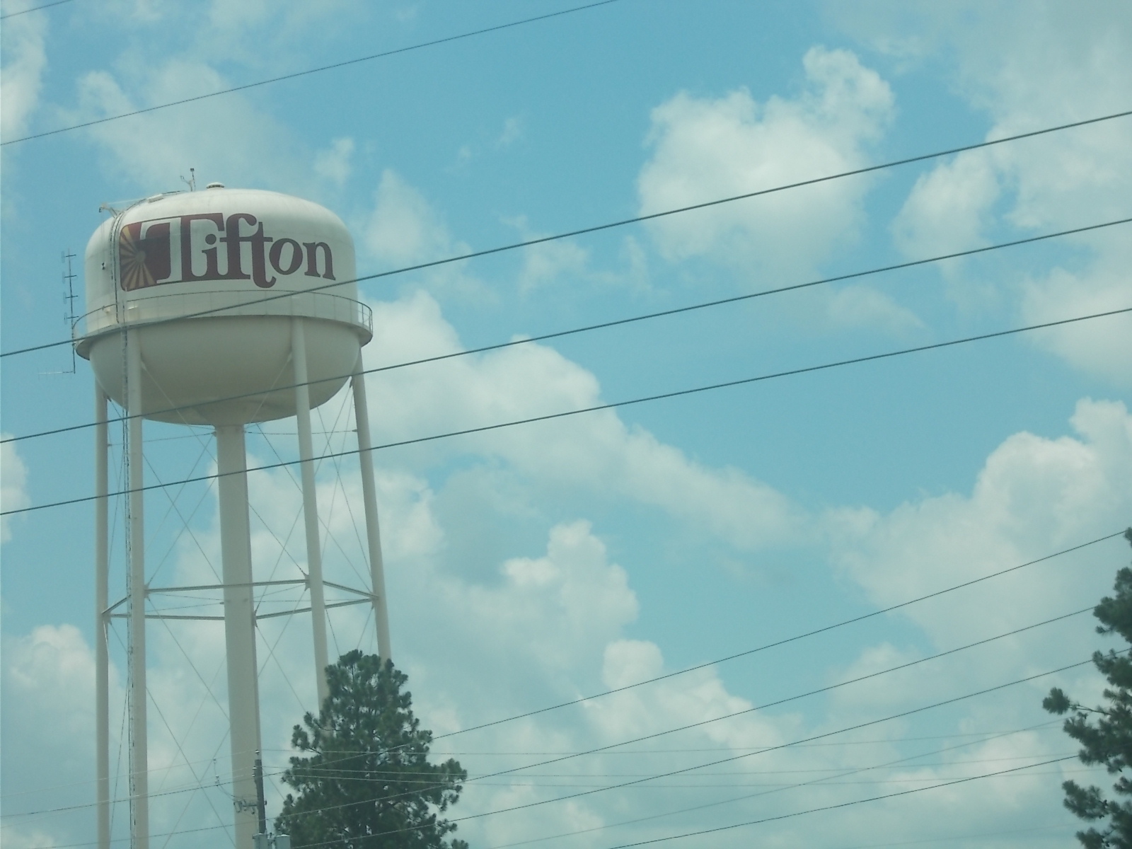 Journey Through Georgia: Below the Gnat Line