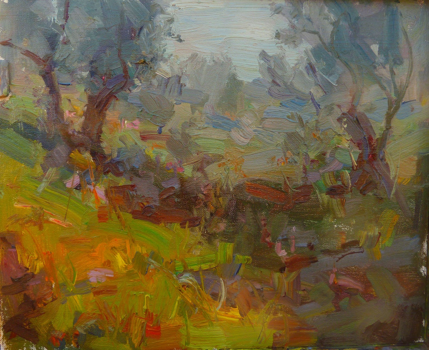 Barry John Raybould: Olive groves