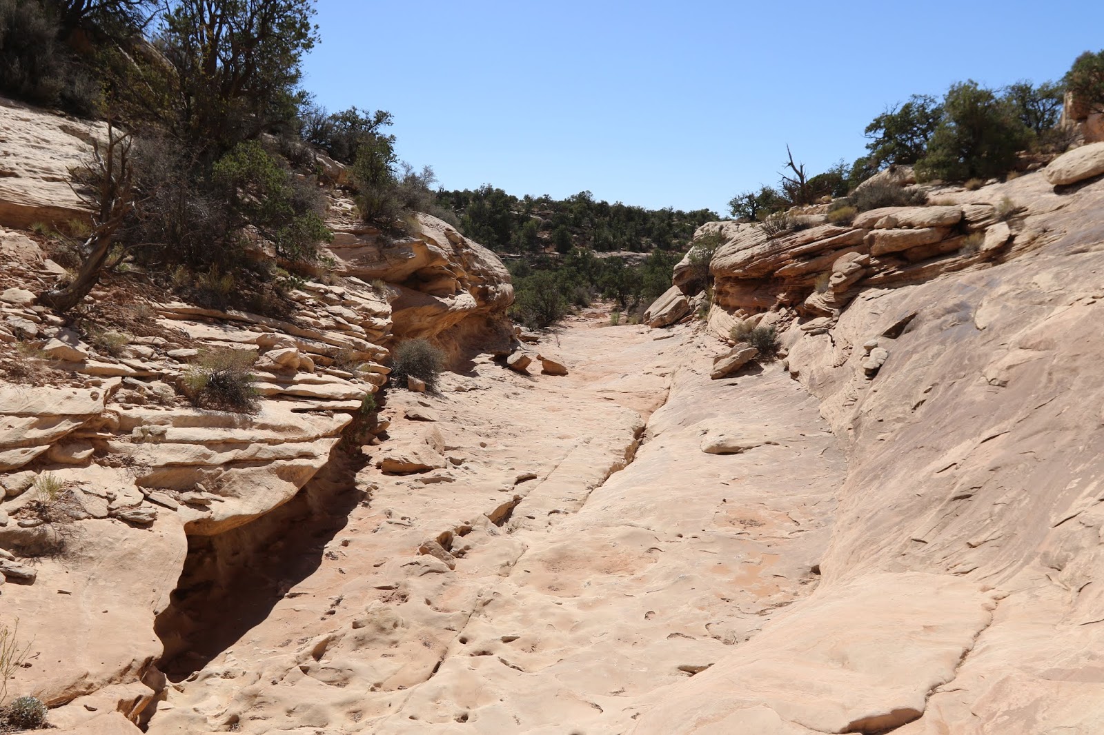 gjhikes.com: Step Canyon