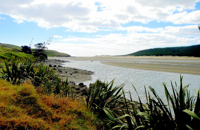 Licorice Allsorts: Herekino Harbour... Beautiful Wilderness