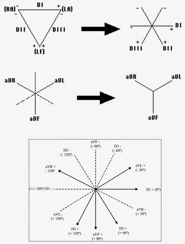 WiseMed: As Derivações Eletrocardiográficas – Parte I