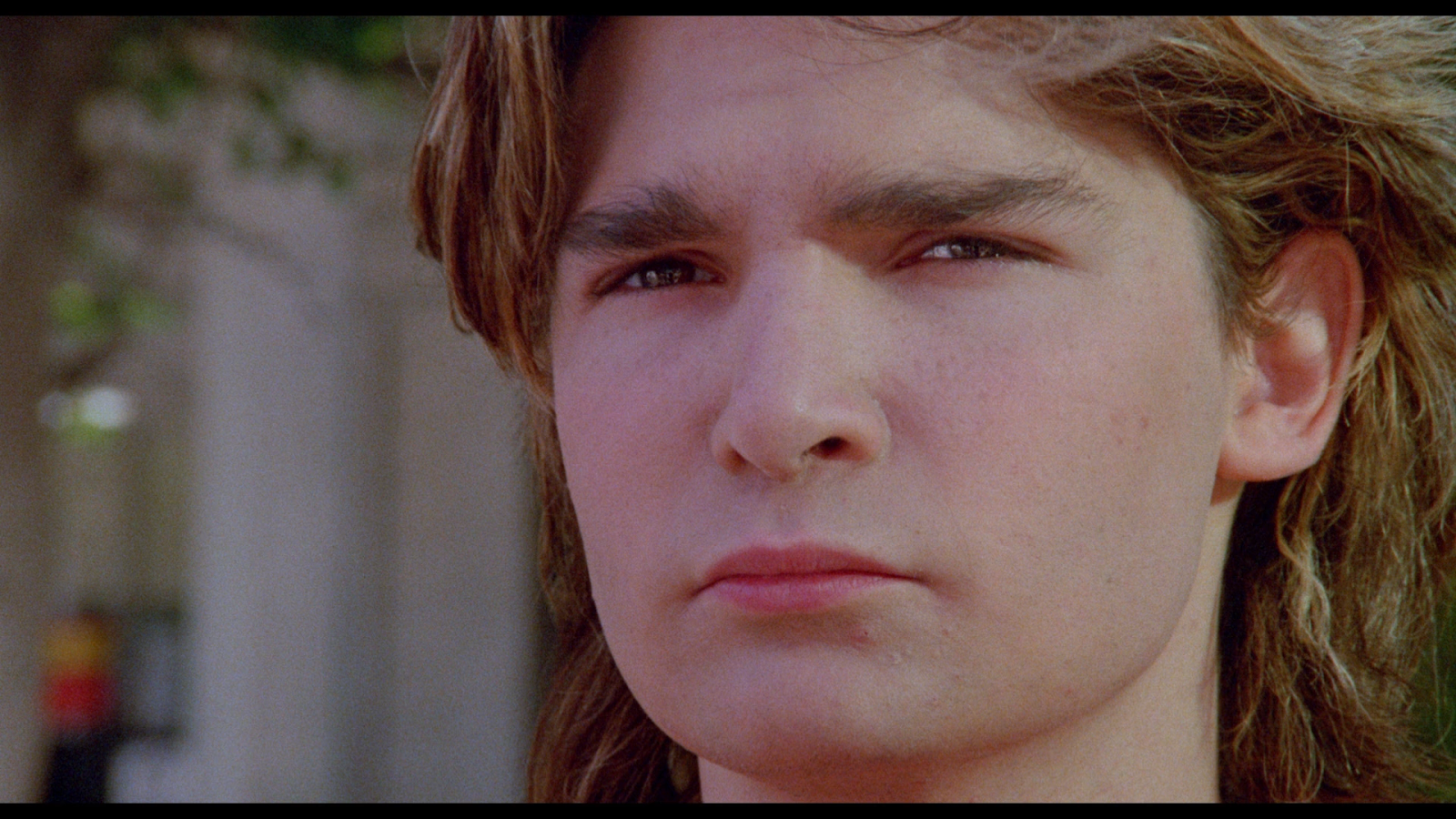 Happyotter: THE 'BURBS (1989)