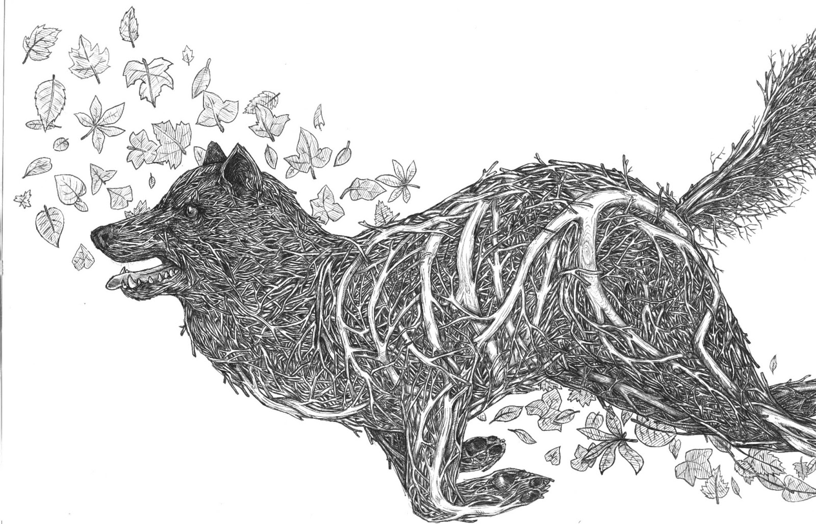 scrunt - USA News Collections