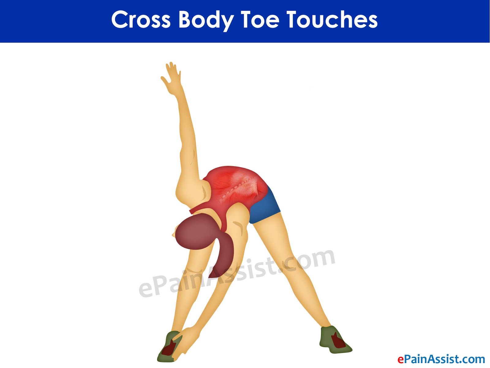 martial arts news and tips