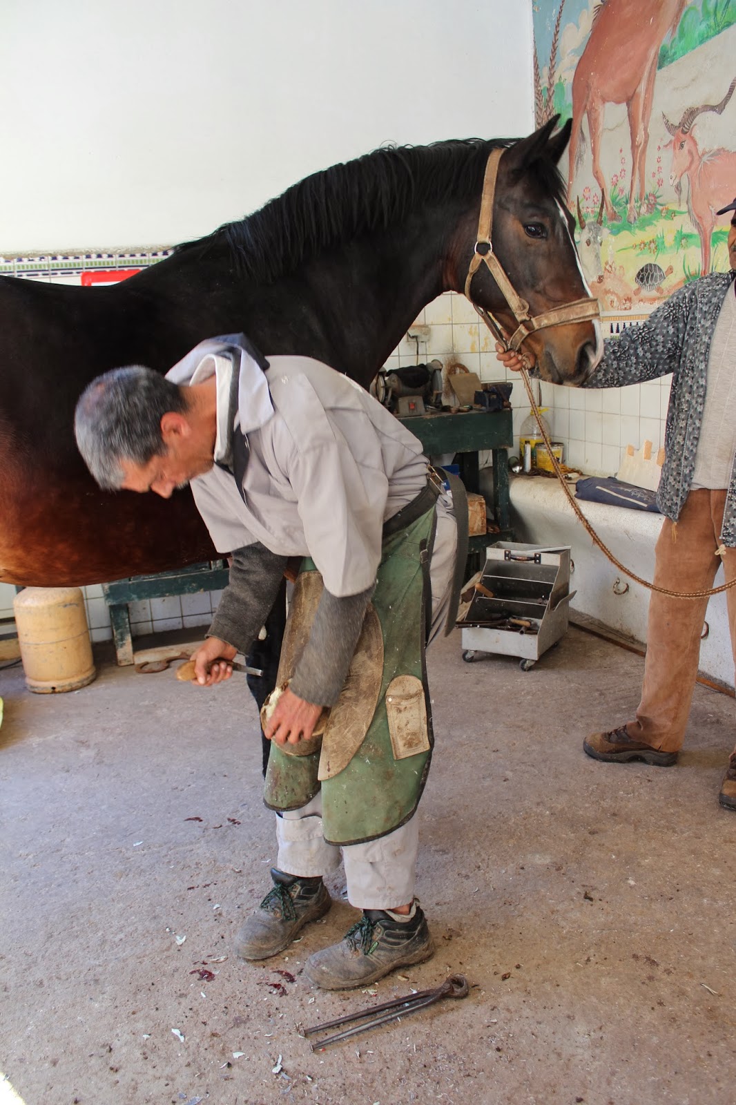 The Ninth Year...: Morocco: The American Fondouk