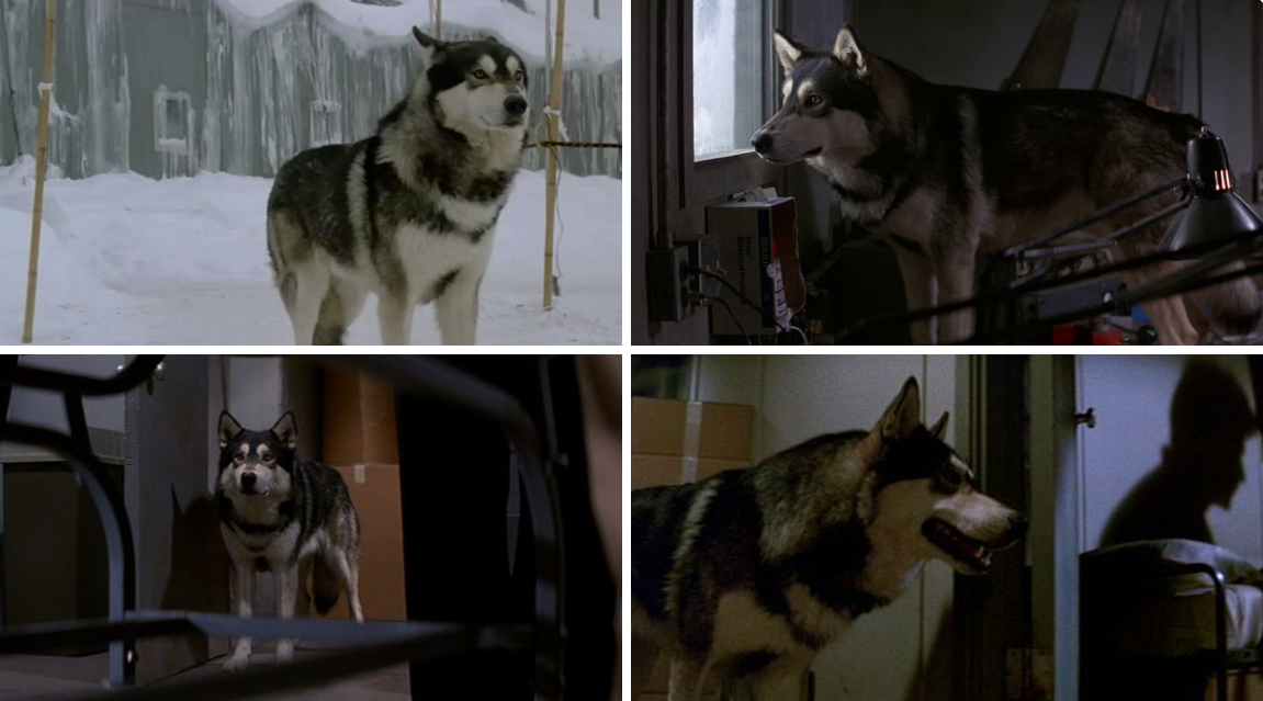 The Thing (1982) La Cosa, di John Carpenter