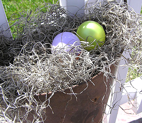 Cutepinkstuff...AND MORE!: Belated Easter Photos