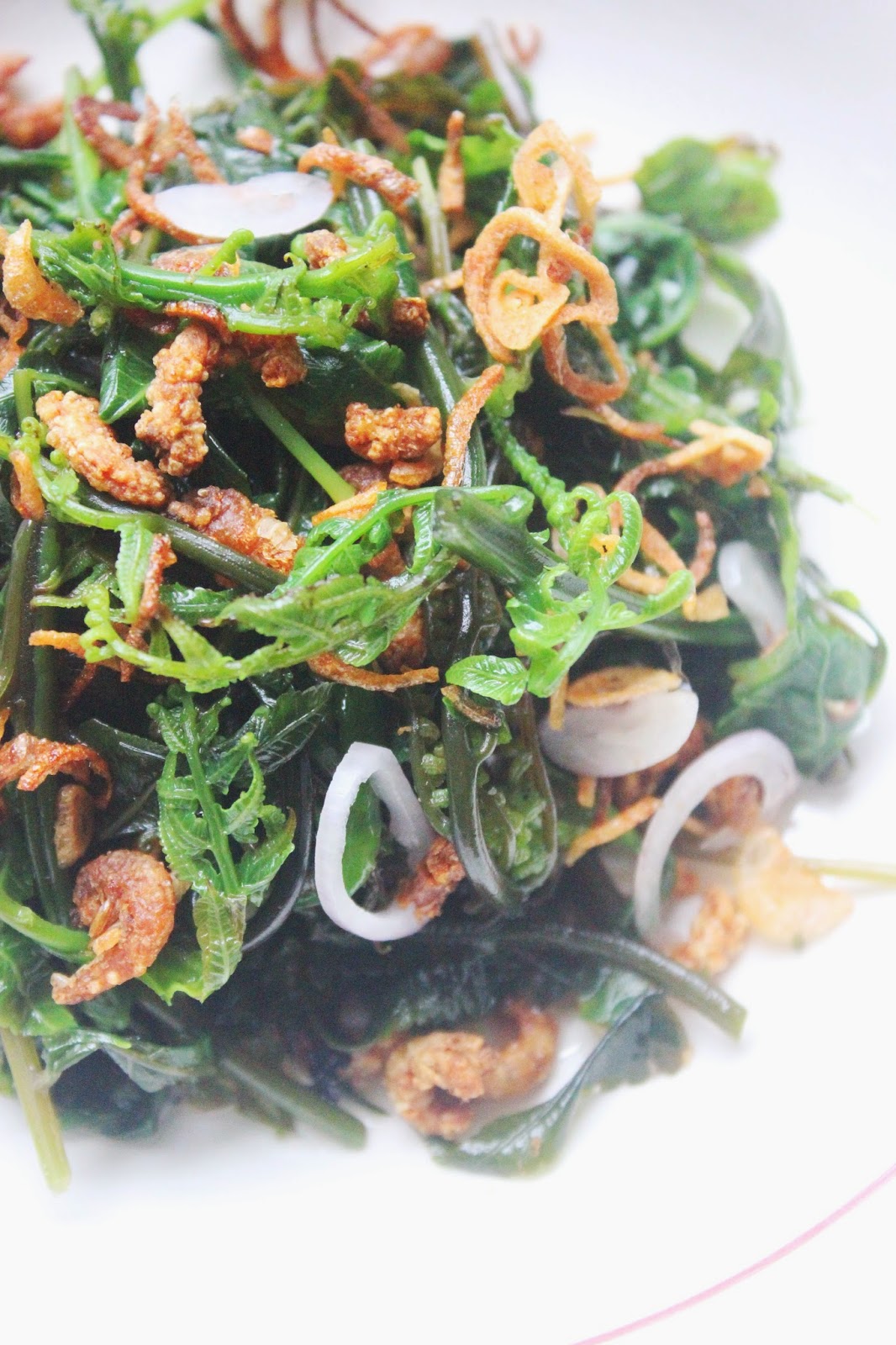 The Morning After: COLD DISH PAKU VEGETABLE