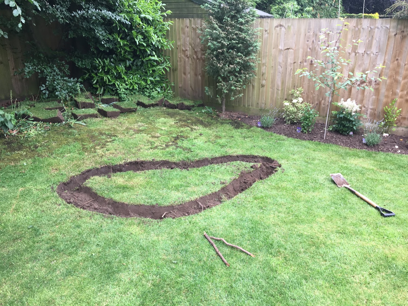 Matt Cole Macro Photography