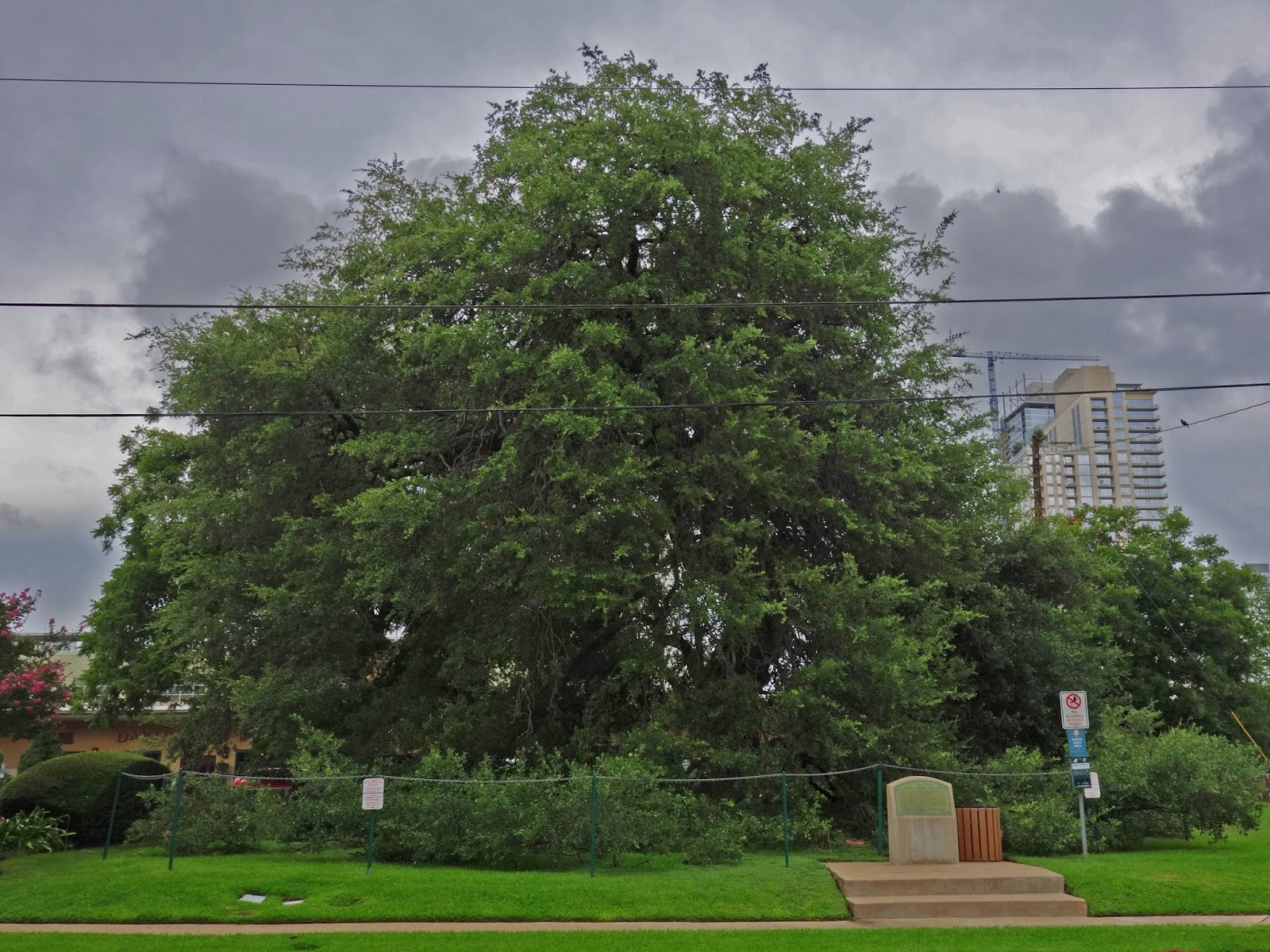 La Lair On Wheels: Sometimes it's not the journey, it's all about the ...