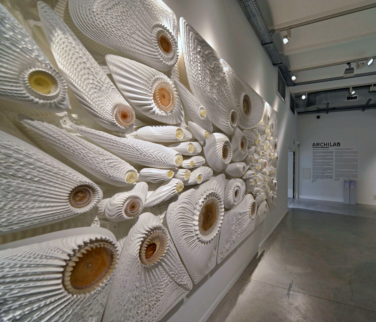 Marcos Cruz Architect