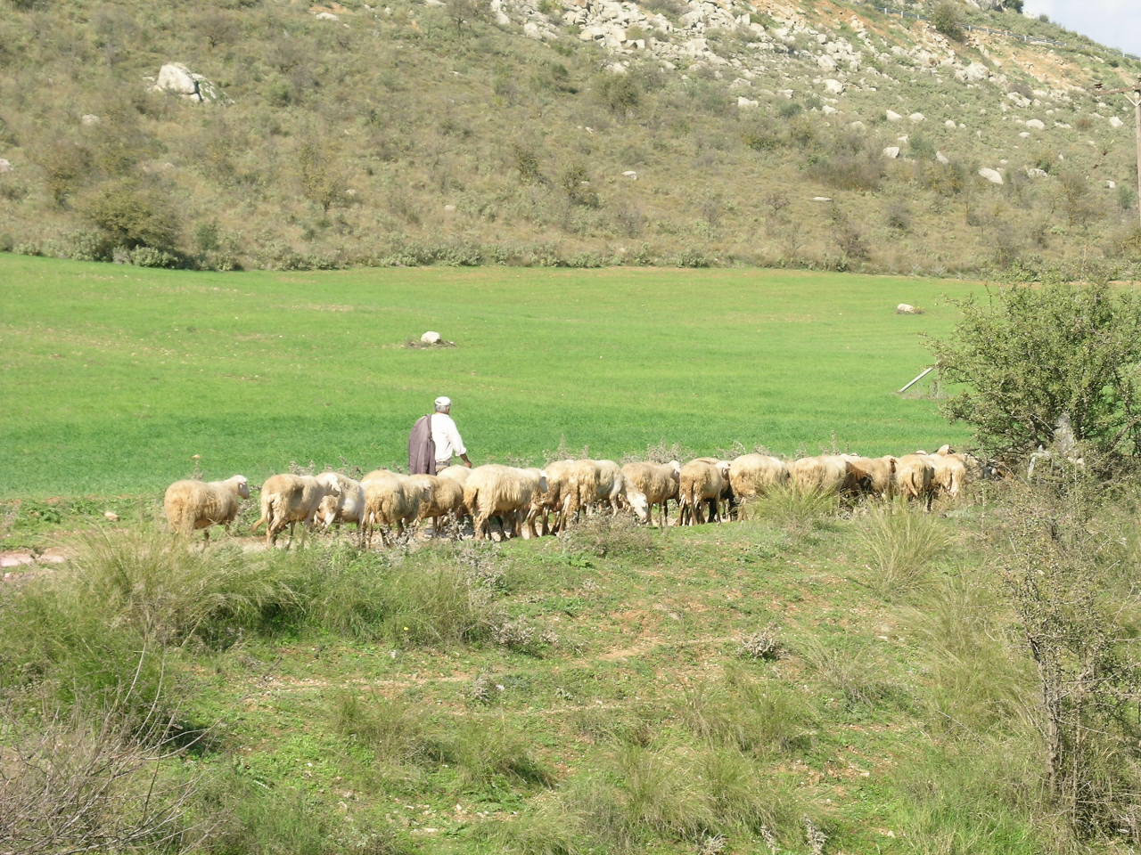 ΝΕΜΕΑ , ΟΙΝΟΓΝΩΣΙΑ, ΠΑΝΑΓΙΑ ΤΟΥ ΒΡΑΧΟΥ- ΑΓΙΑ ΦΩΤΕΙΝΗ ΜΑΝΤΙΝΕΙΑΣ