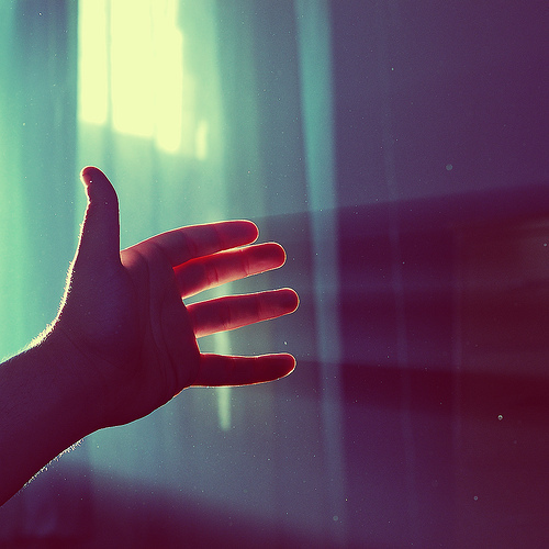 Inspiração: Fotos Simples