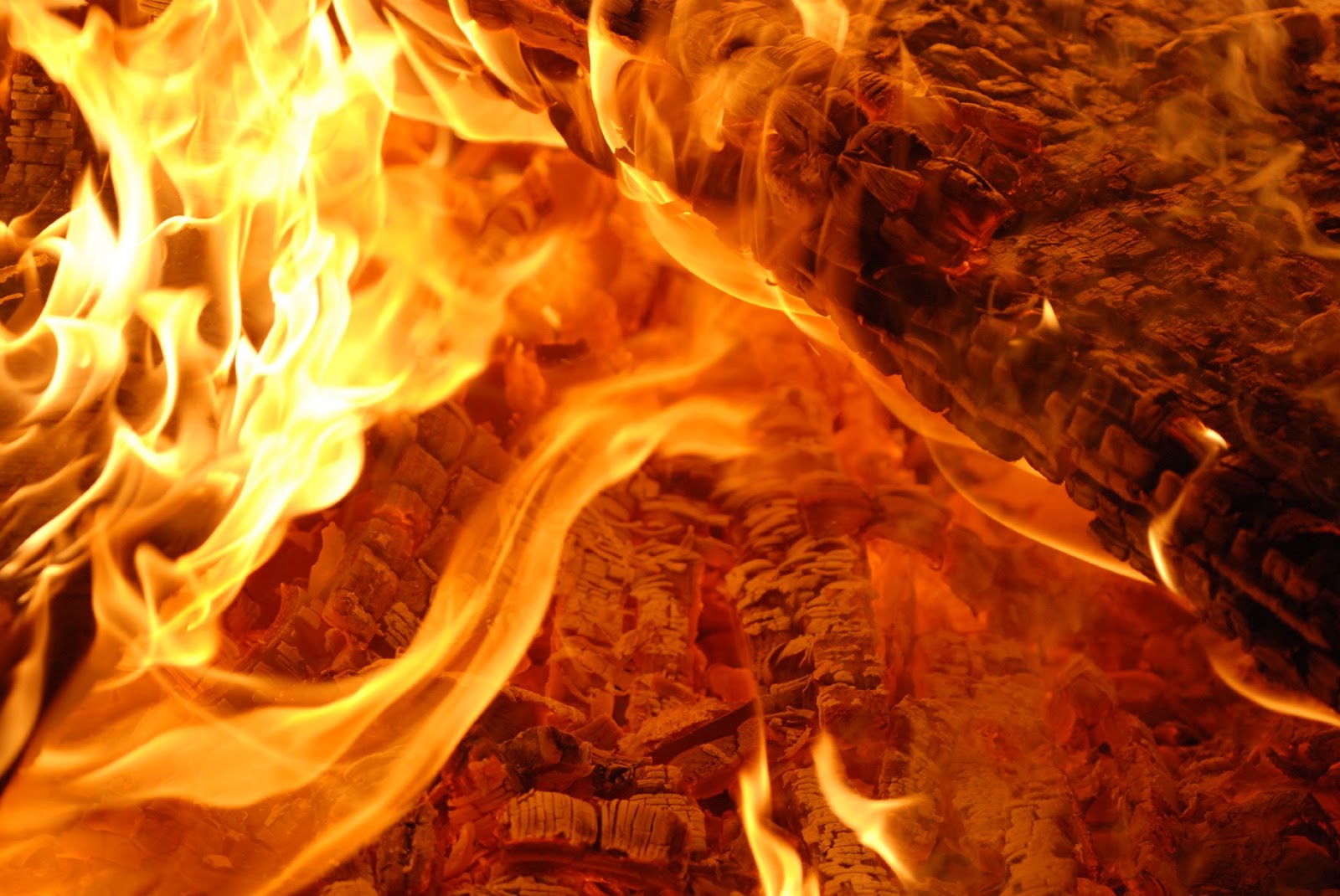 Blessed by the Wolves ☽ ☾: O Elemento Fogo