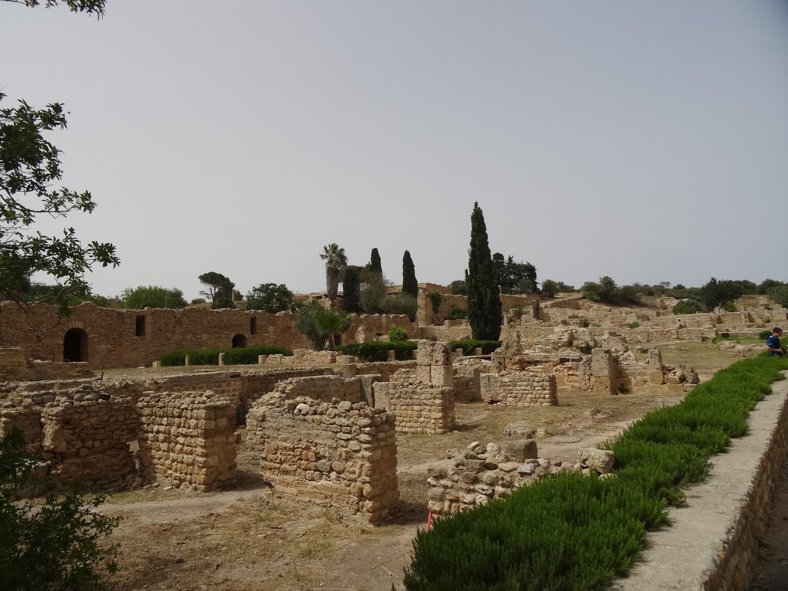 Ainsi va la vie ... pérégrinations de la famille salaün: Carthage : la ...