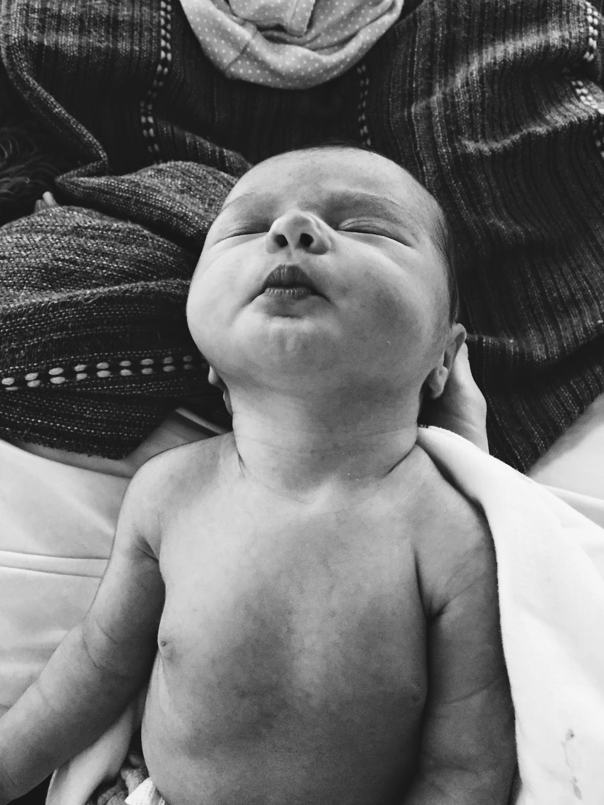 maple and shade: LATELY | OUR HAZEL GRIFFIN