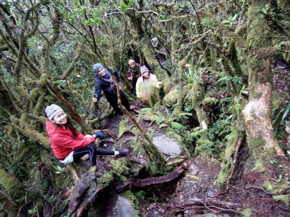 Skookum Mountaineers: Mt. Tabayoc - Into the mossy forest and up in the ...