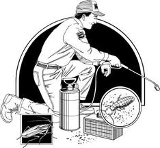 Pest Control Chino Hills 888-774-7702