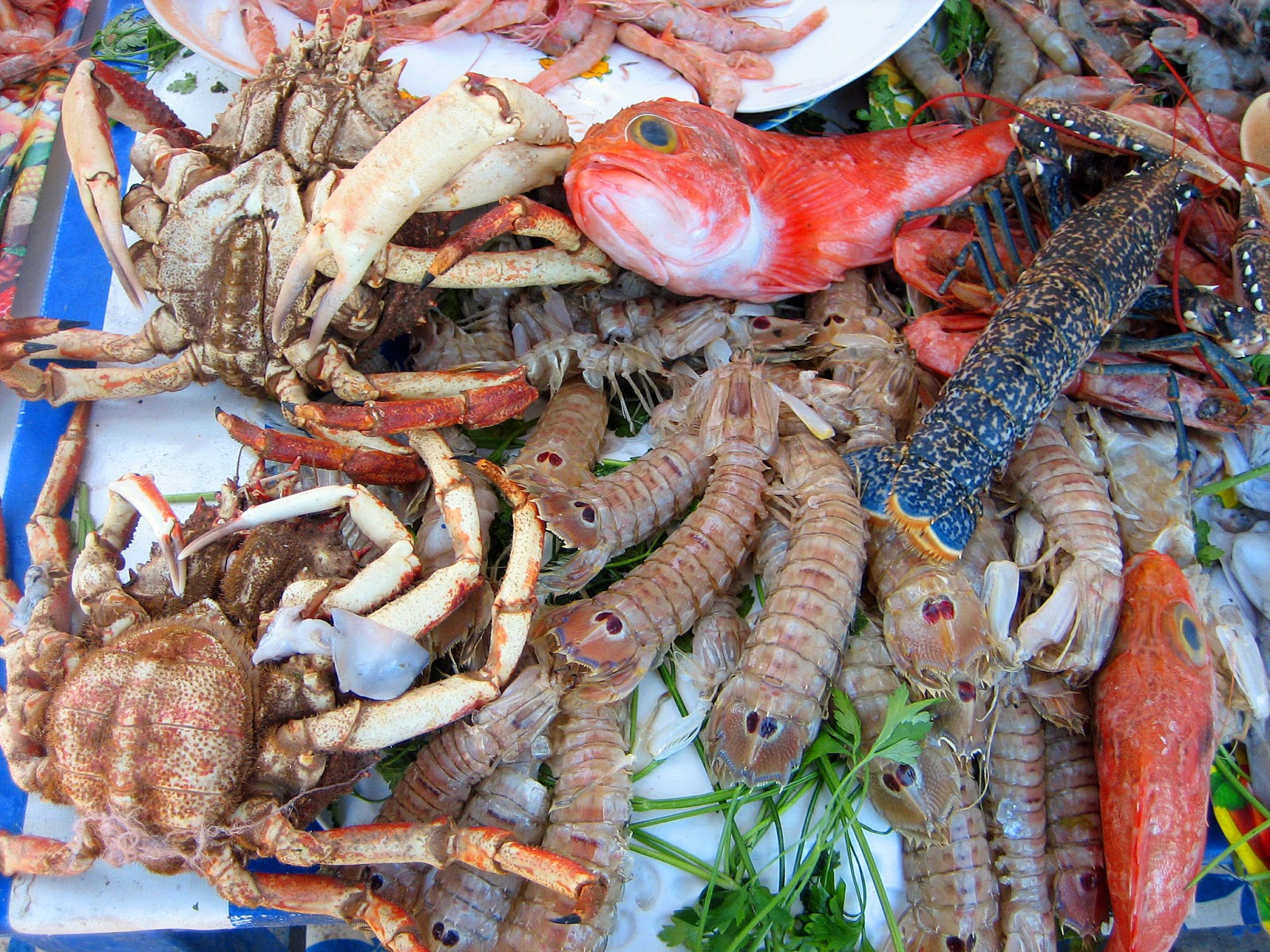 Lentil Breakdown: 10 Things I Ate in Morocco