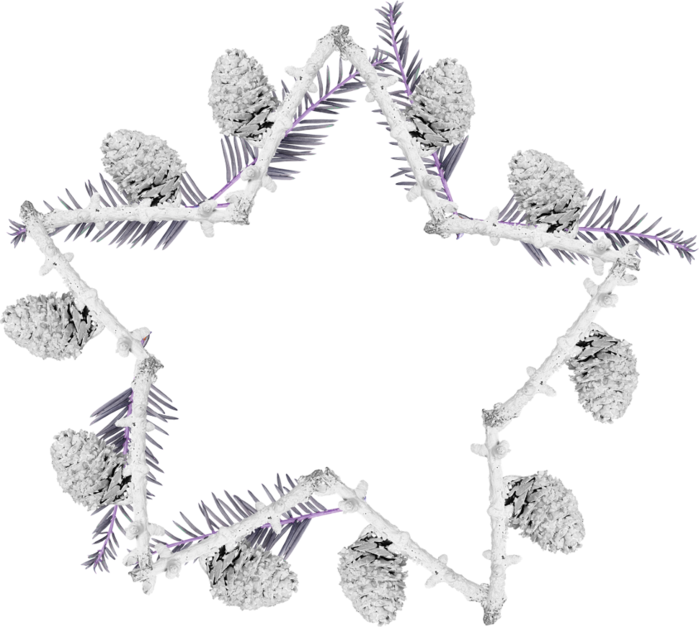 ForgetMeNot: cluster winter frames