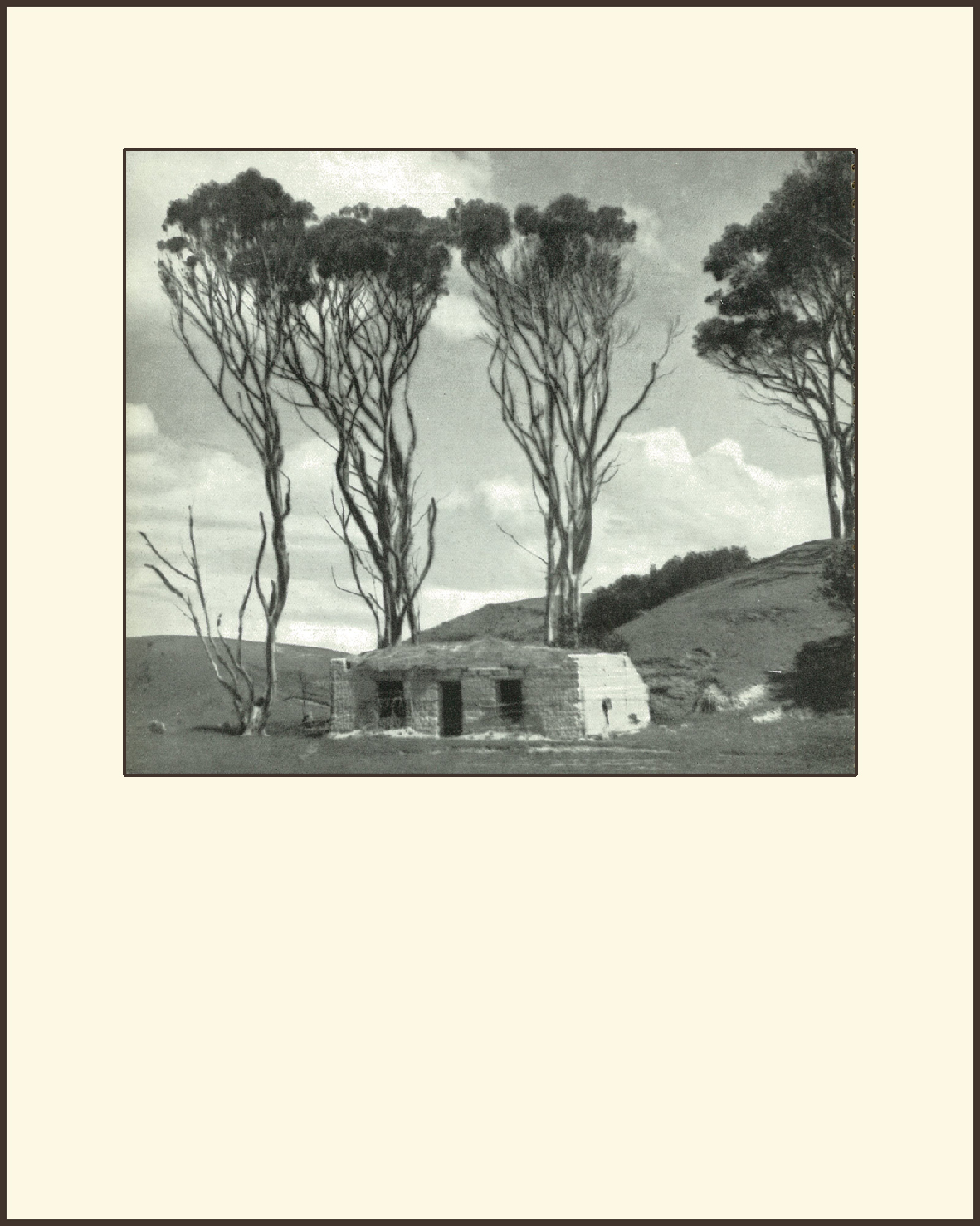 Early New Zealand Photographers: CHANCE, George