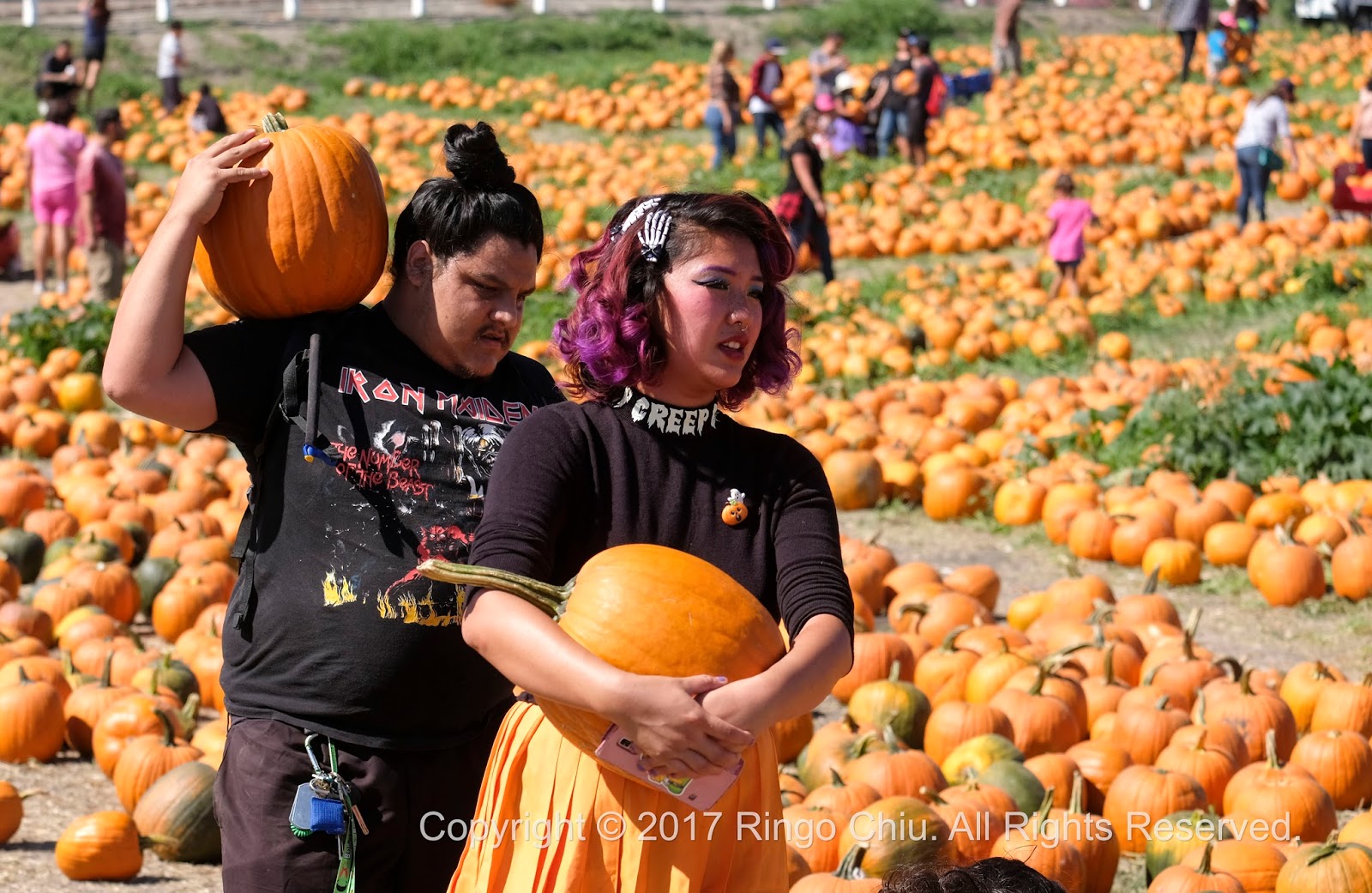 Ringo Chiu Photography: 20171007 Pumpkin Festival in Cal Poly Pomona