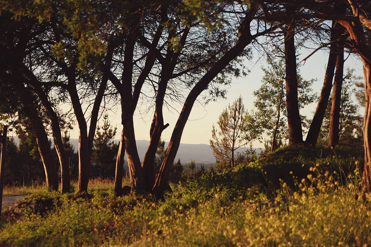 Preboda de Cris e Isidro en la Ribeira Sacra