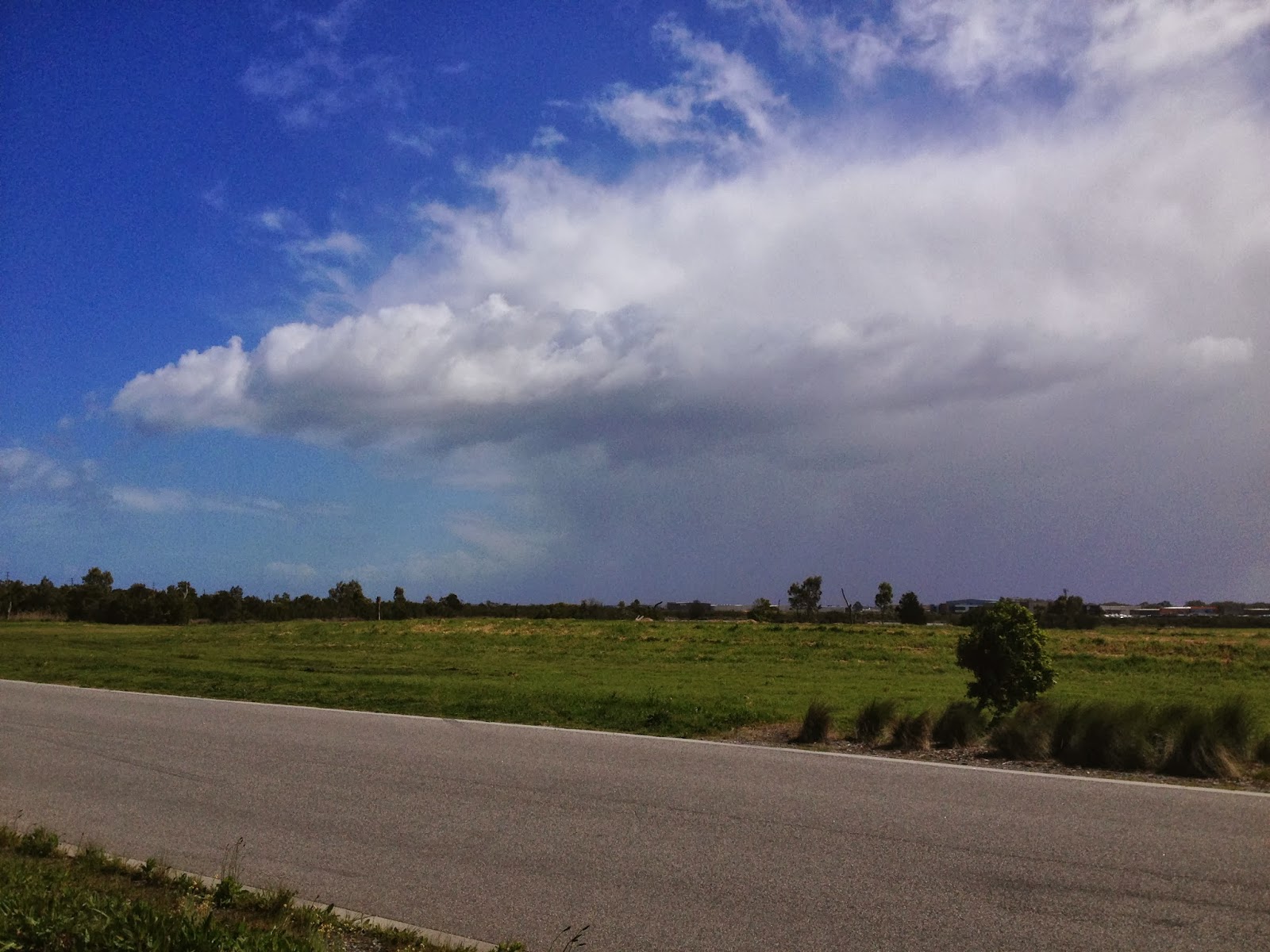 walkabouters club of victoria inc: Braeside Park - Edithvale-Seaford ...