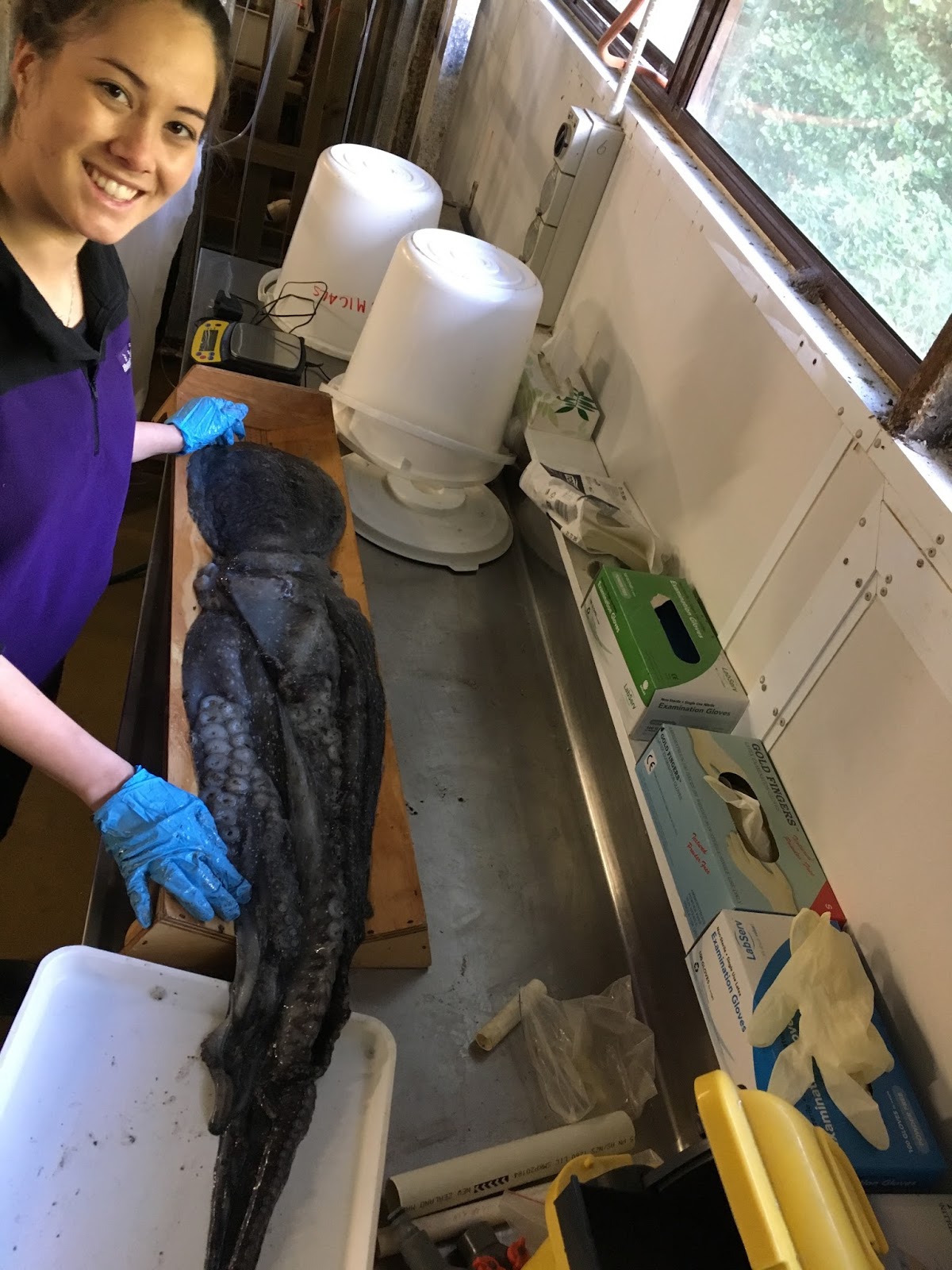 NZ Marine Studies Centre: 2018