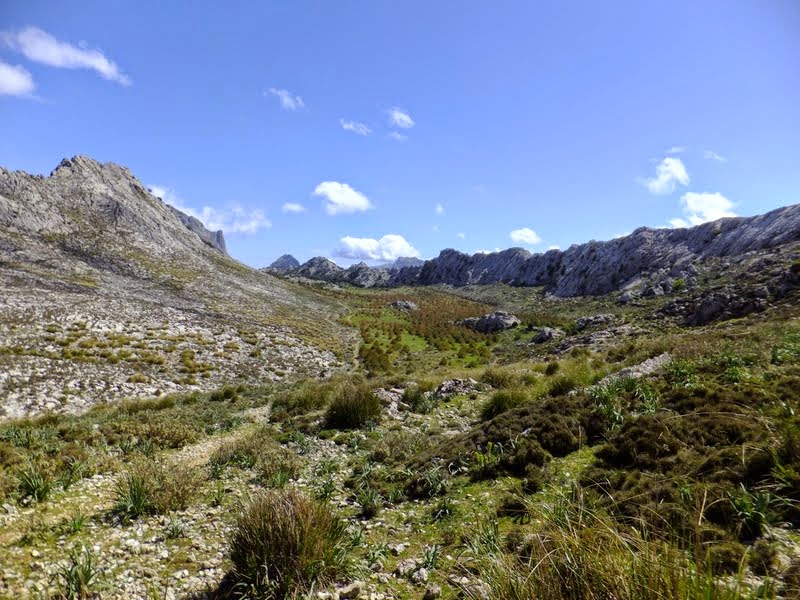 Viaranys: Coma de Son Torrella