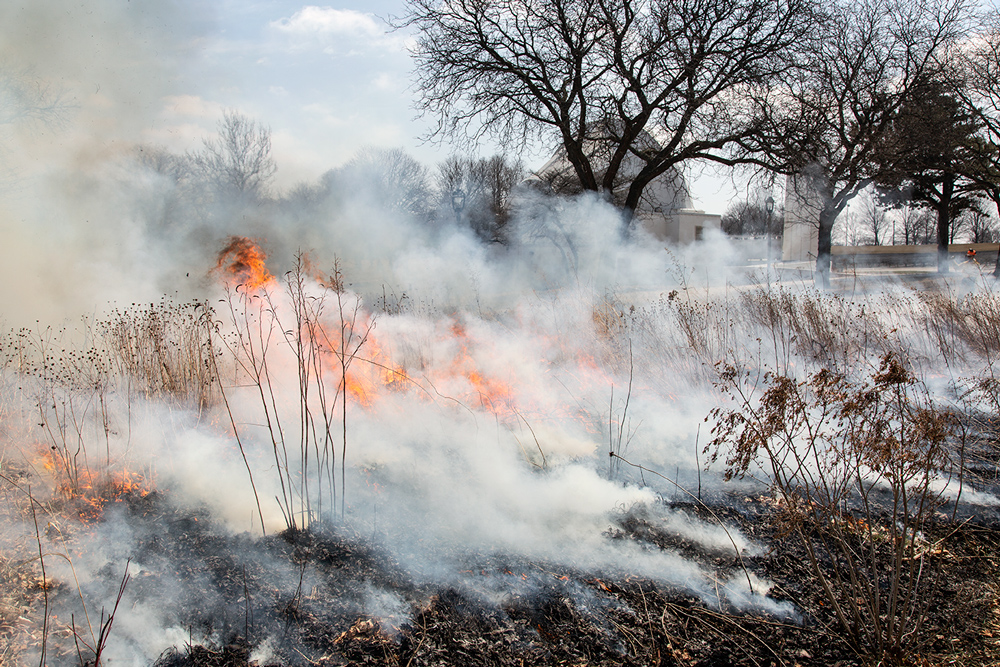 Urban Wilderness: Burning Washington Park