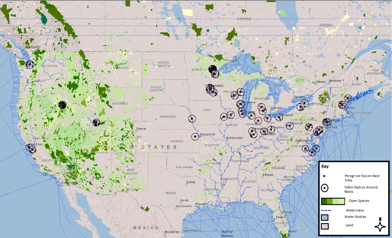 Givonne G. Law GIS Work: Large Projects to Date- Peregrine Falcon Nest ...