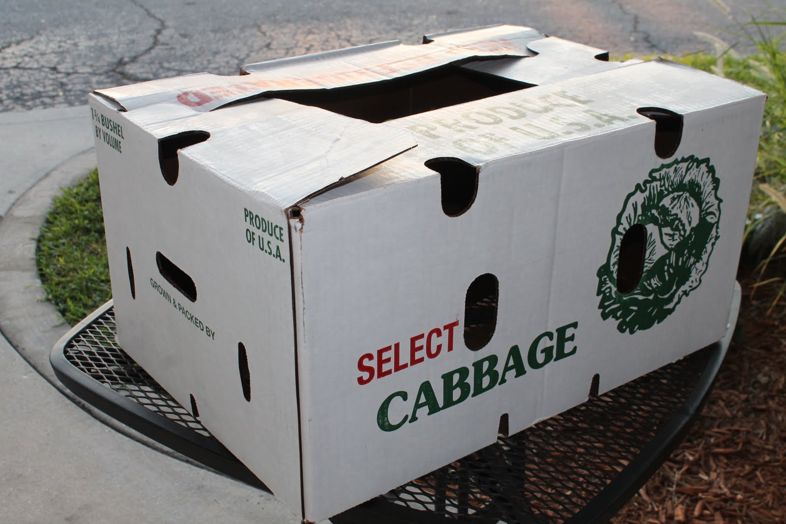 Naturally Local: Life of a Foodie, Farmer, Free-Spirit and Activist ...