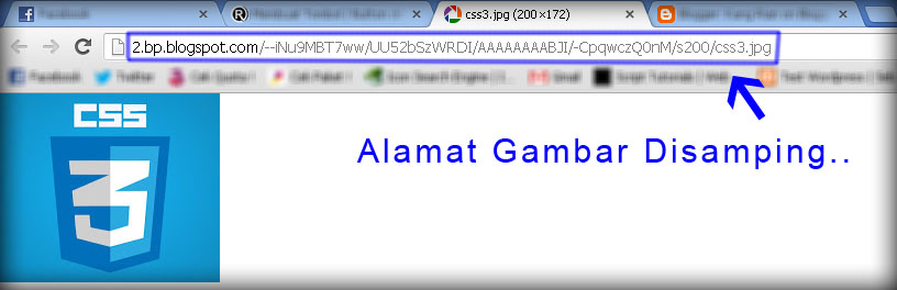Cara Melihat Alamat / Url Gambar di Browser - Info Menarik