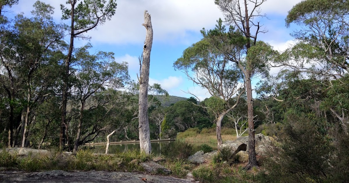 its just my life: Bullio Tunnel Trail