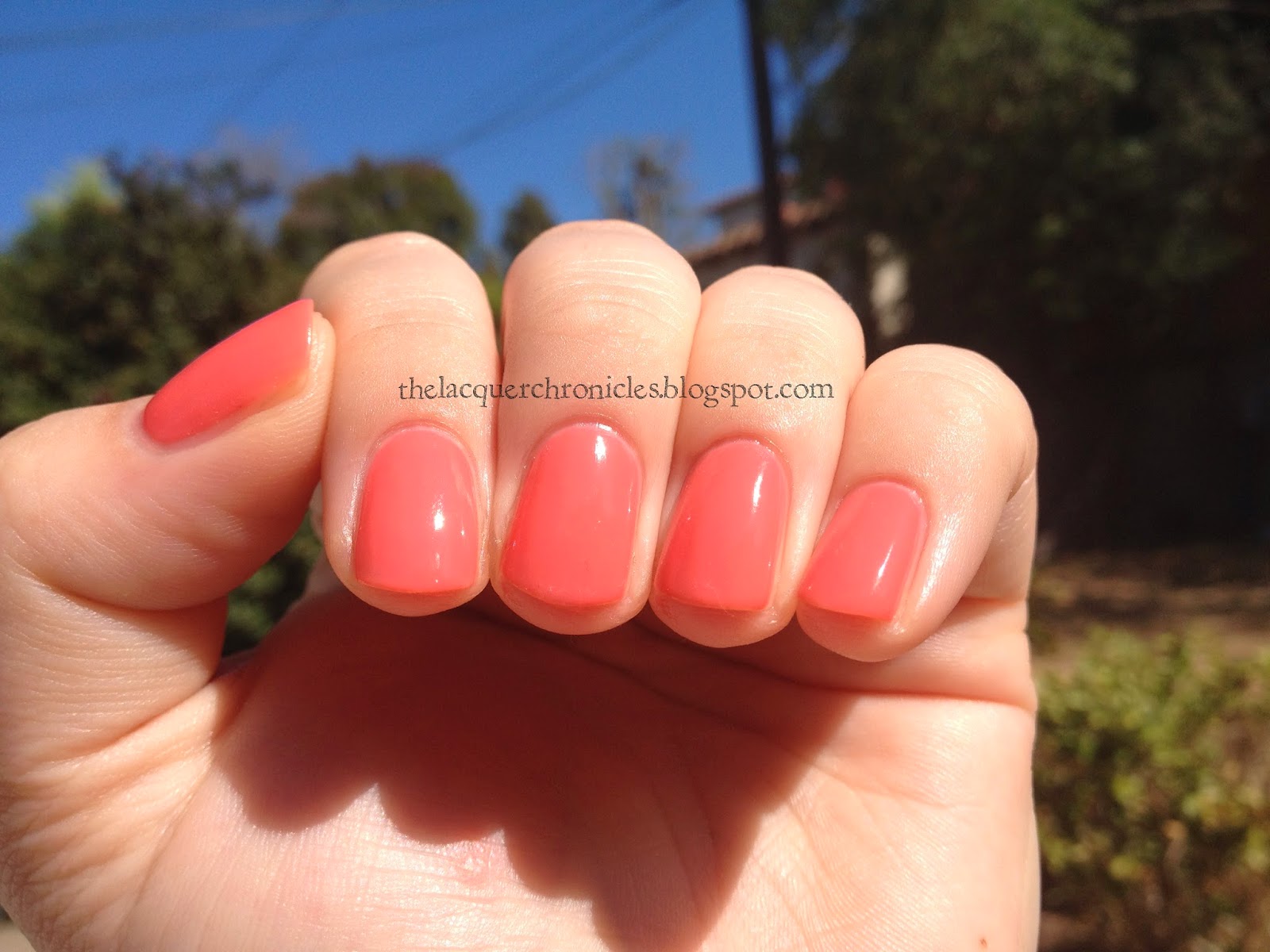 The Lacquer Chronicles: Zoya Maya