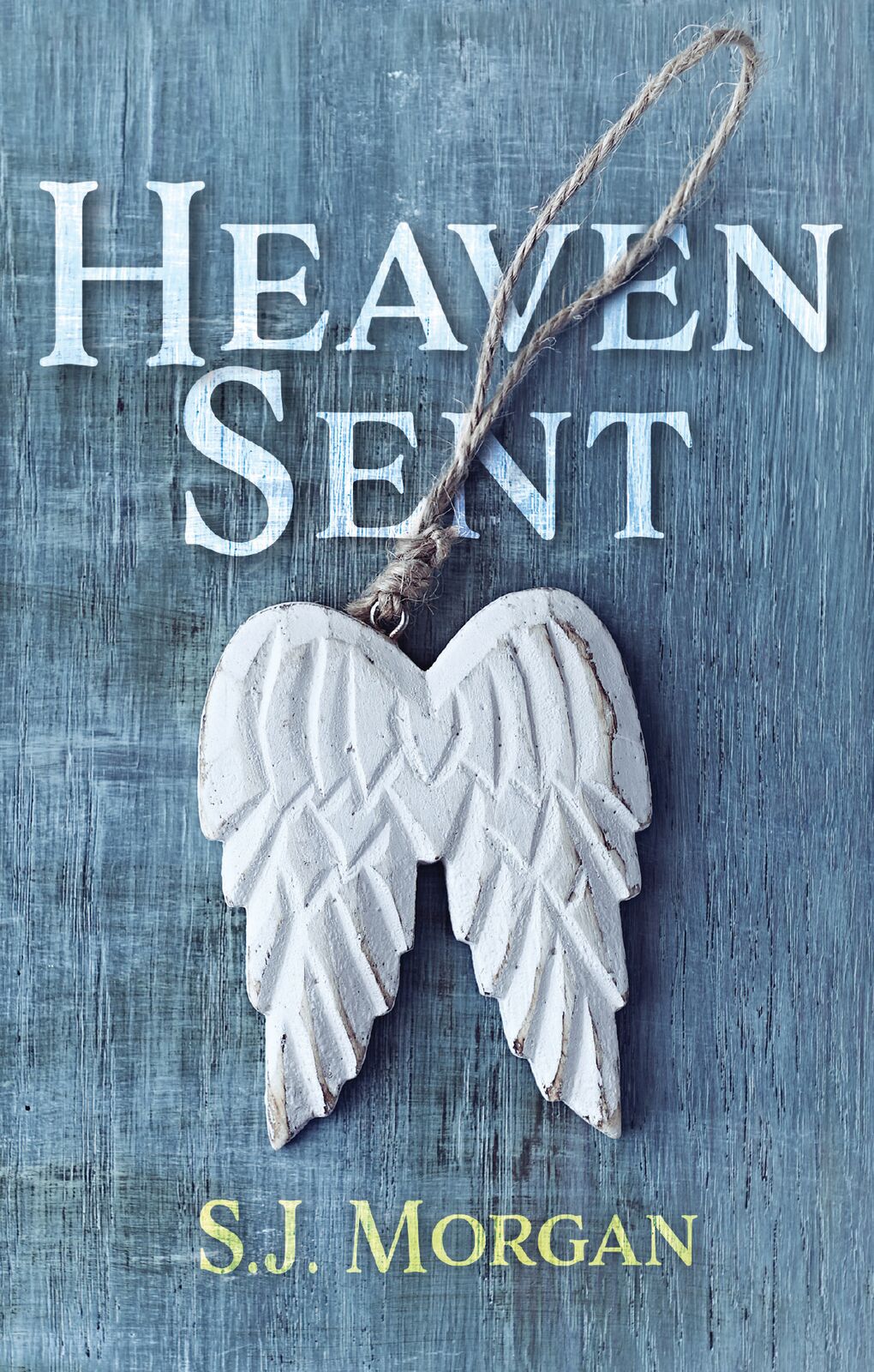 Kids' Book Review: Review: Heaven Sent