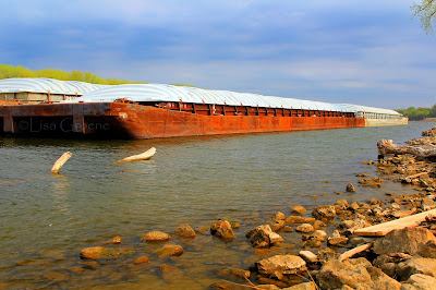 Lisa's Photo Collection: Kaposia Landing- May 2015