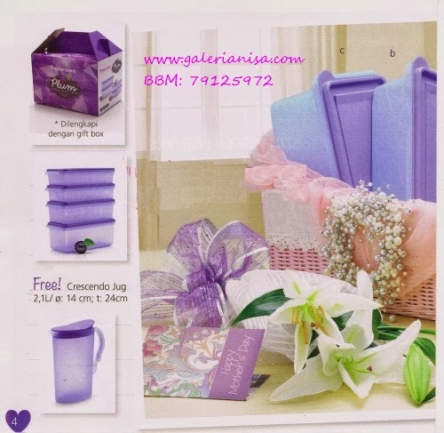 Tupperware Juli 2014 5 Kg Keep N Carry - Pusat Belanja Tupperware ...