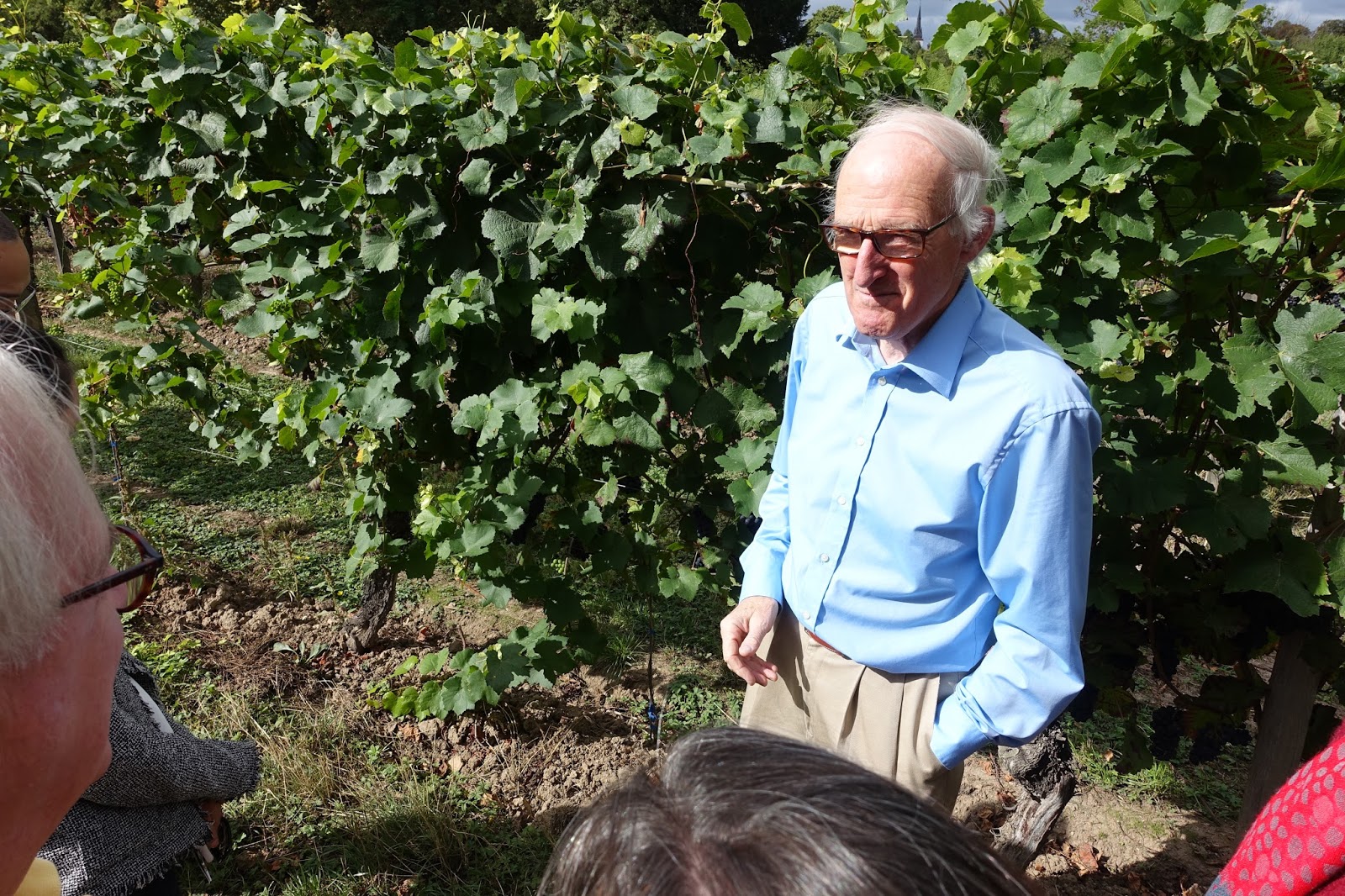 schiller-wine: Tour and Tasting at Weingut Baron Knyphausen in Erbach ...